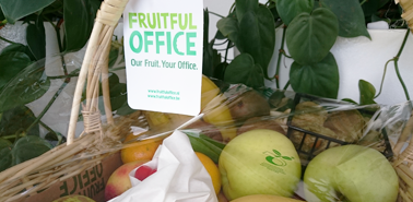 Fruitful Office - Hazet
